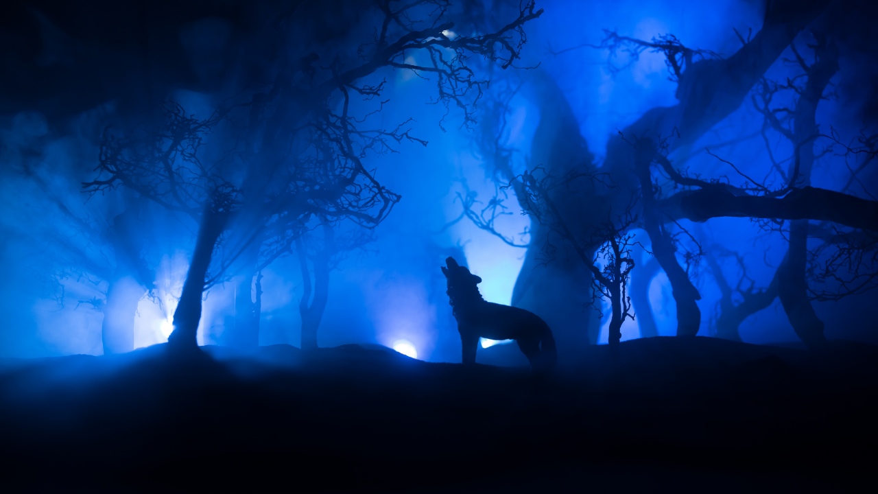 Unleashing the Beast: Unraveling the Origins of the Werewolf Myth