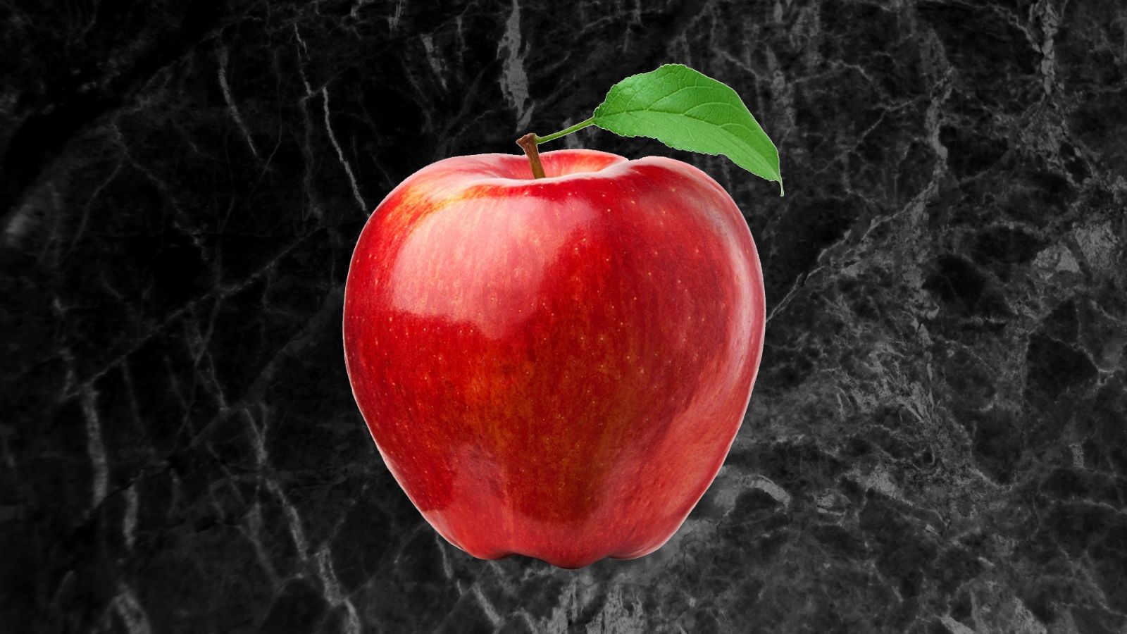 The Best and Most Hilarious Sideways Stories