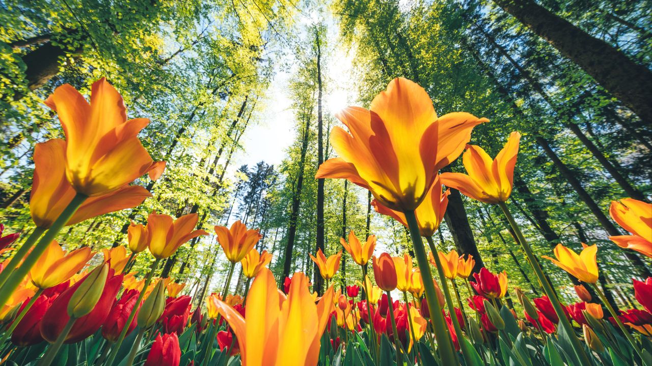 Spring Reading: Books That the Bookstr Team Likes To Read in the Spring ...