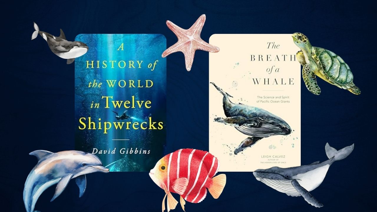 6 Promising Non-fiction Books to Brush Up on Your Ocean Knowledge