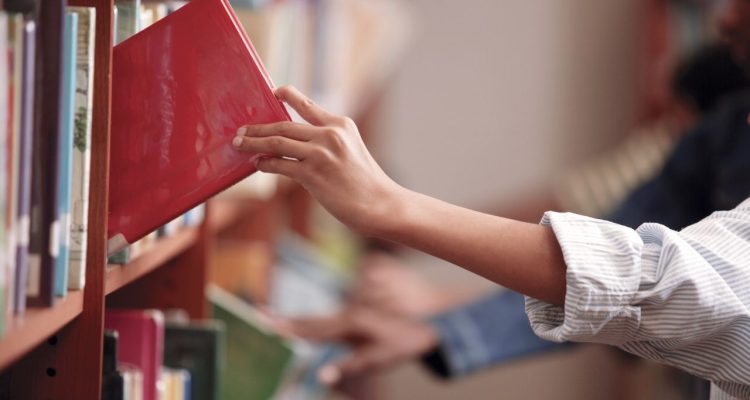 Make Summer Reading Exciting for your Mini Bookworms with These 4 ...