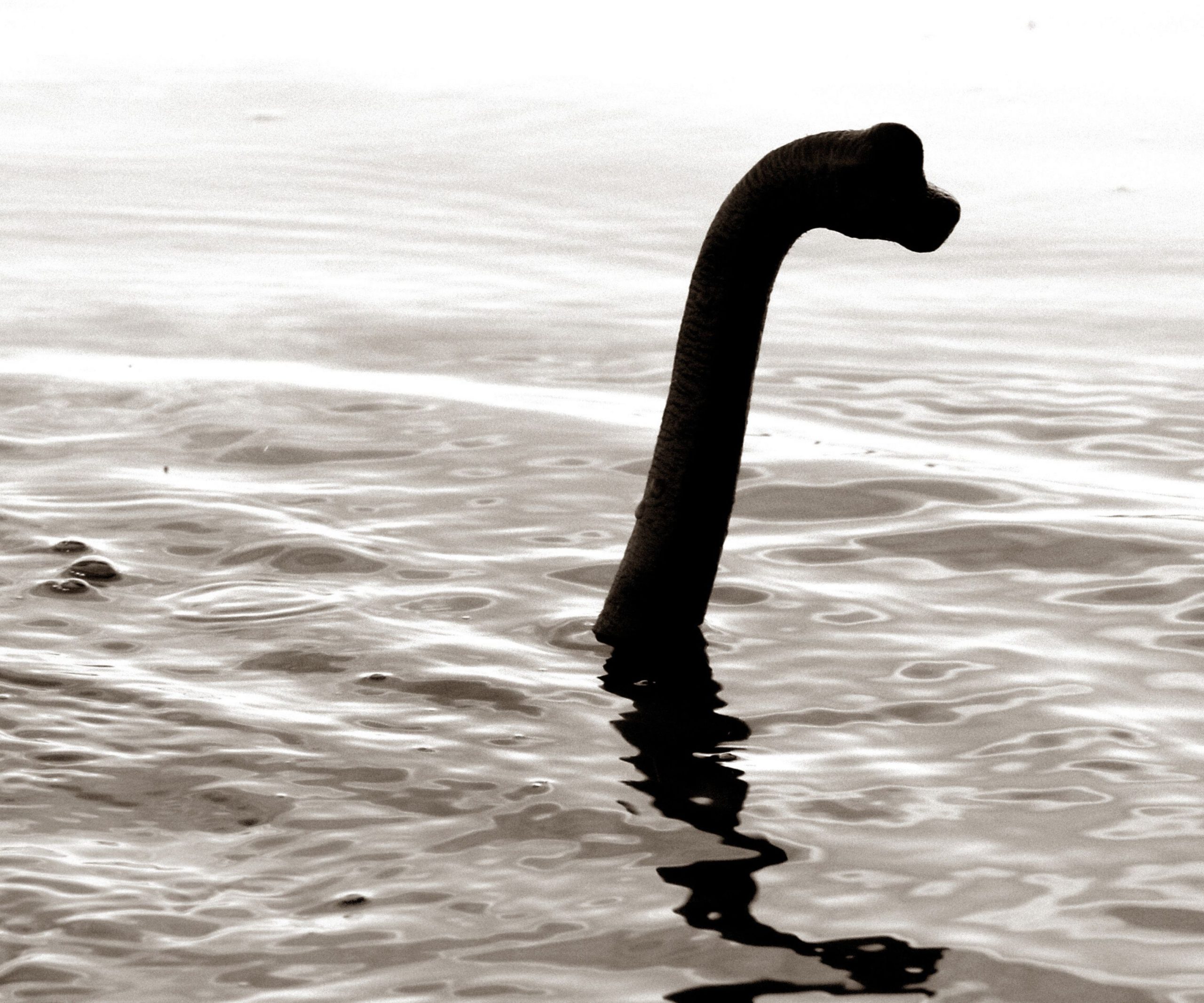 Trick-or-Treat Yourself to These Spooky, Bookish Activities for Summerween