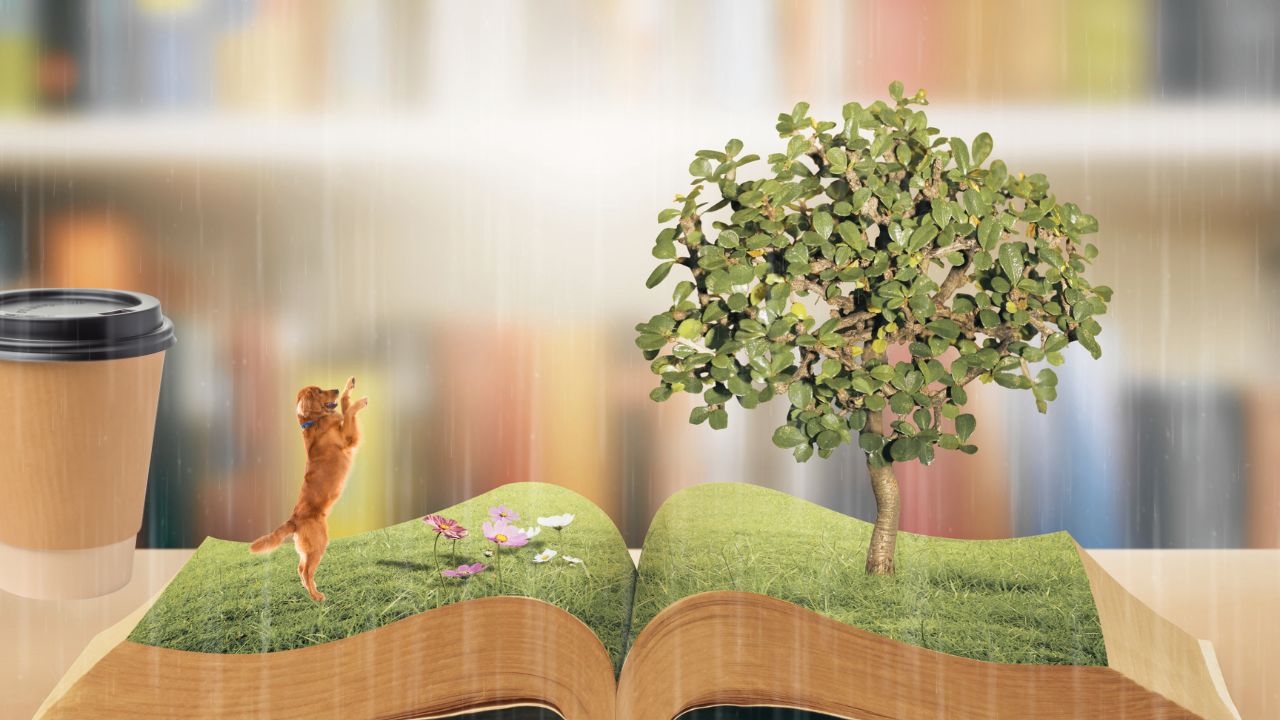 BookTubers: How YouTube Influencers Are Shaping Reading Habits