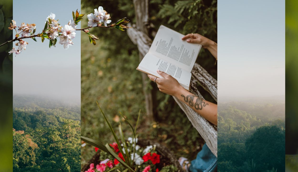 Why Reading Outside is the Best Escape - Bookstr