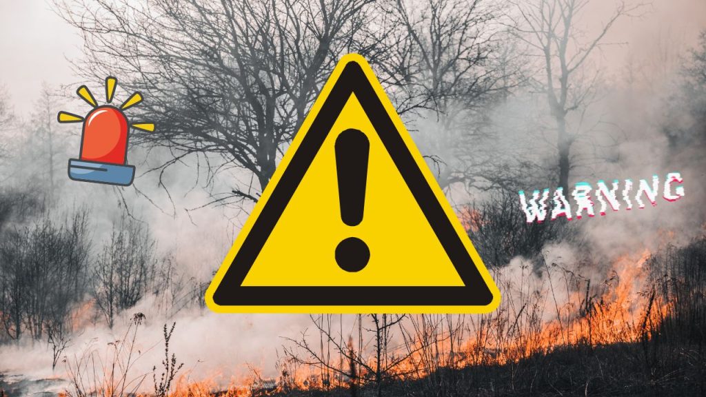 8 Sensational Natural Disaster Books Apocalypse Readers Will Love - Bookstr