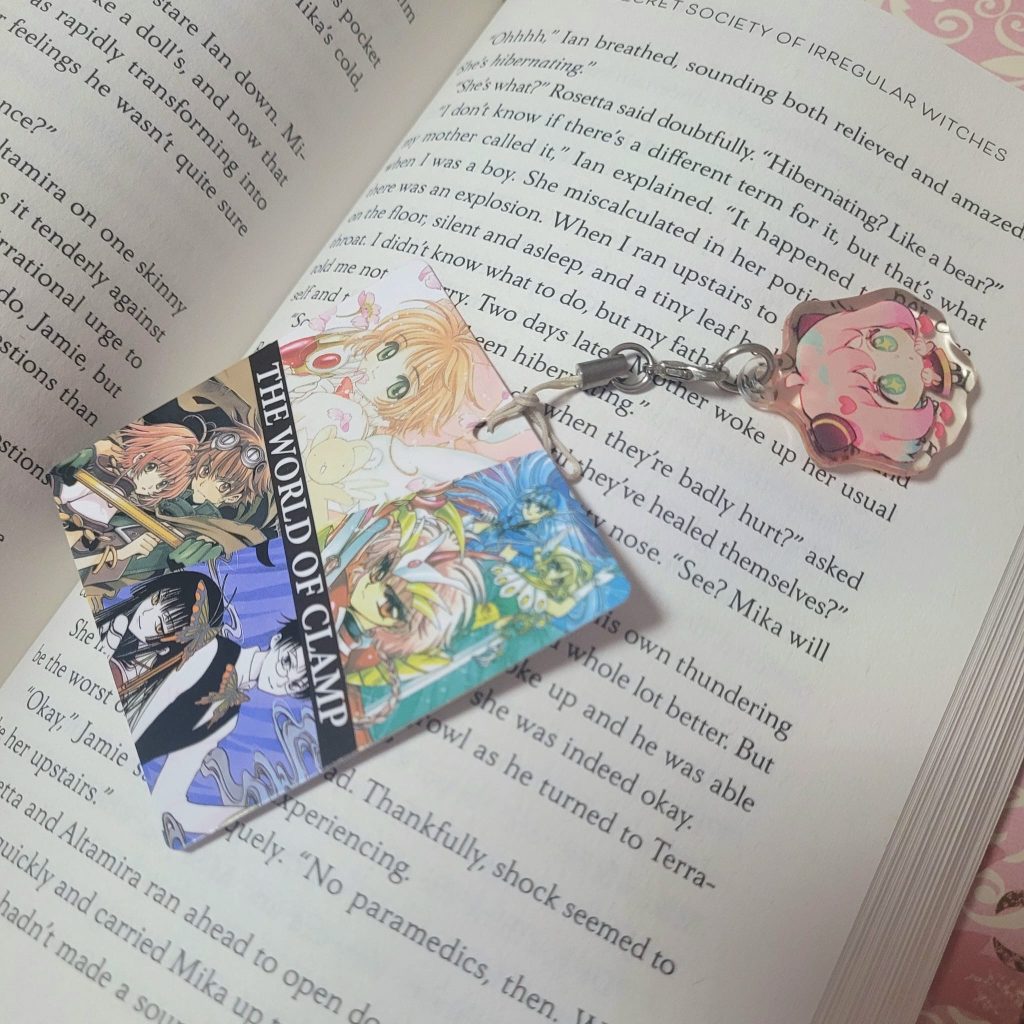 What Treasures Does Bookstr Team Display on Their Bookshelves?