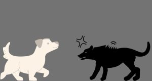 11 Hispanic Urban Legends That Will Make You Shiver - Bookstr