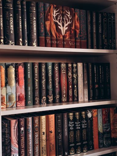 Explore Aesthetically Beautiful Fantasy Romance Books With ...
