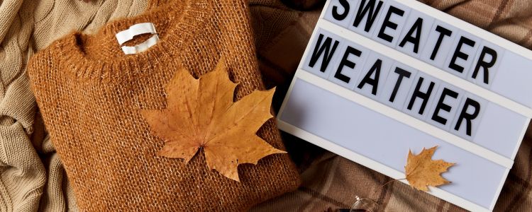 Bookstr’s Secrets To A Cozy Fall Reading Setup - Bookstr