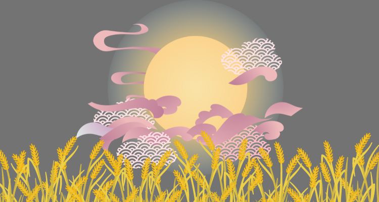 Mid-Autumn Festival Spectaculars: Rich Mooncakes And Colorful Books