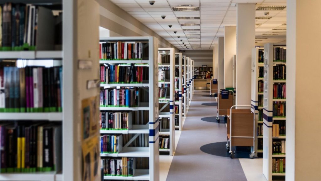 How Little Free Libraries Transform Accessible Reading - Bookstr