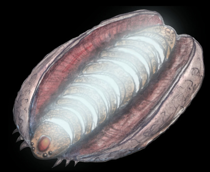 Explore the Continents With These Fascinating Folkloric Creatures