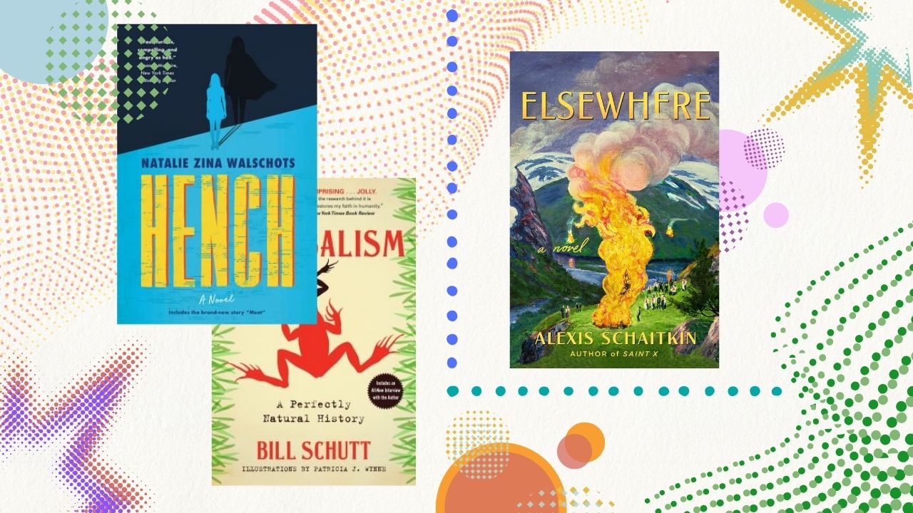 Emotional and Eclectic: Unique Novels You’ve Probably Never Heard Of