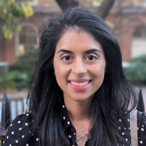 Ava Rani’s Multicultural Billionaire Romances