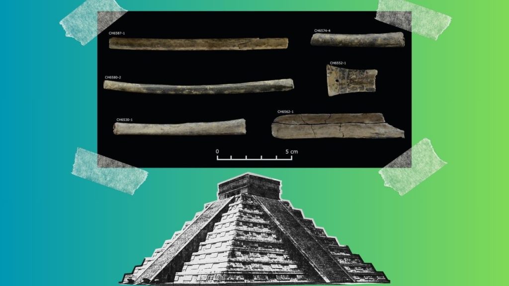 High Society: Ancient Peru’s Psychedelic Secrets Unearthed