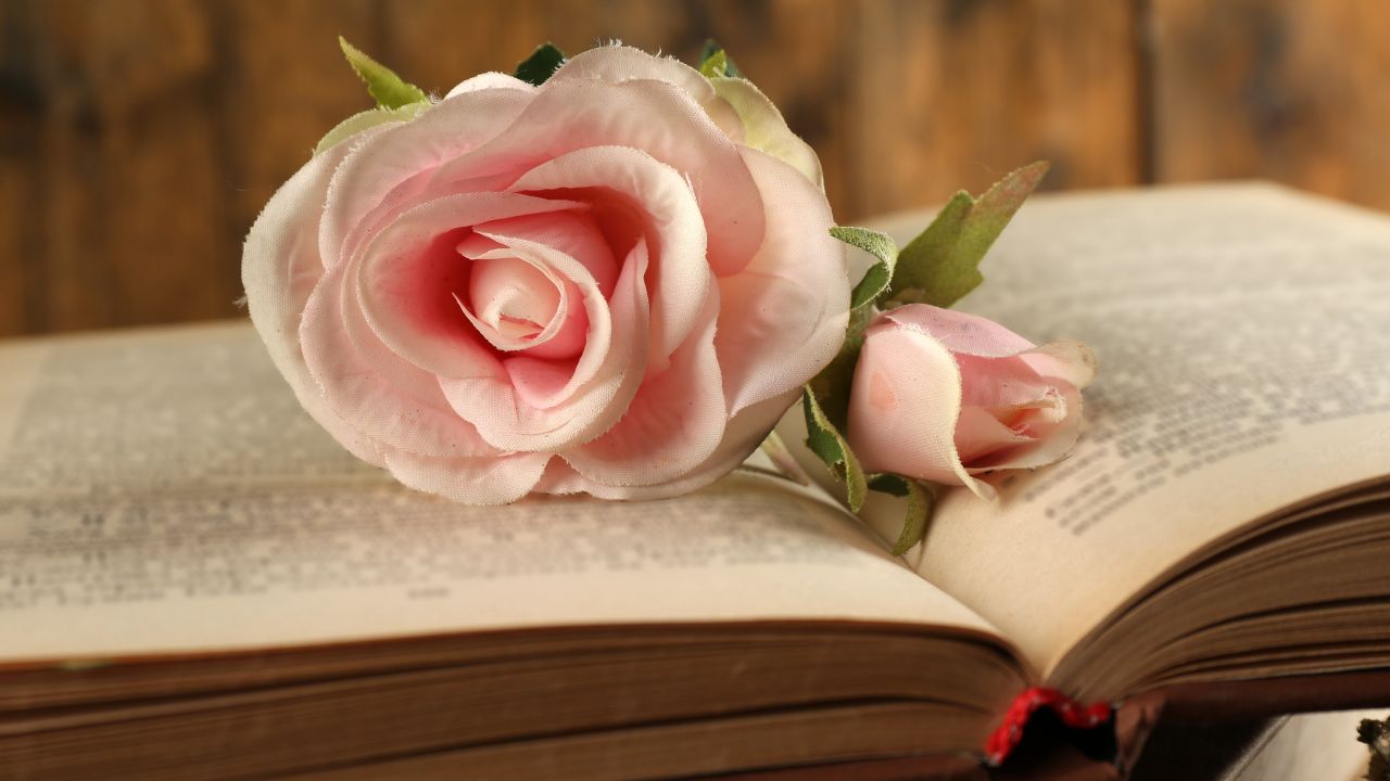 The Role of Romance Novels in Breaking Down Cultural Stereotypes - Bookstr