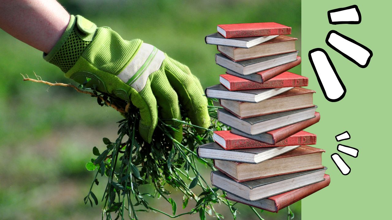 Time to Weed Your Growing TBR: Here’s How - Bookstr