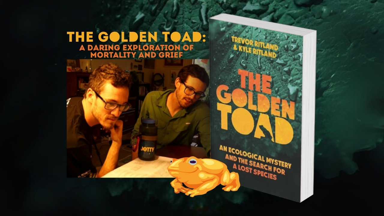 The Golden Toad: A Daring Exploration of Mortality and Grief