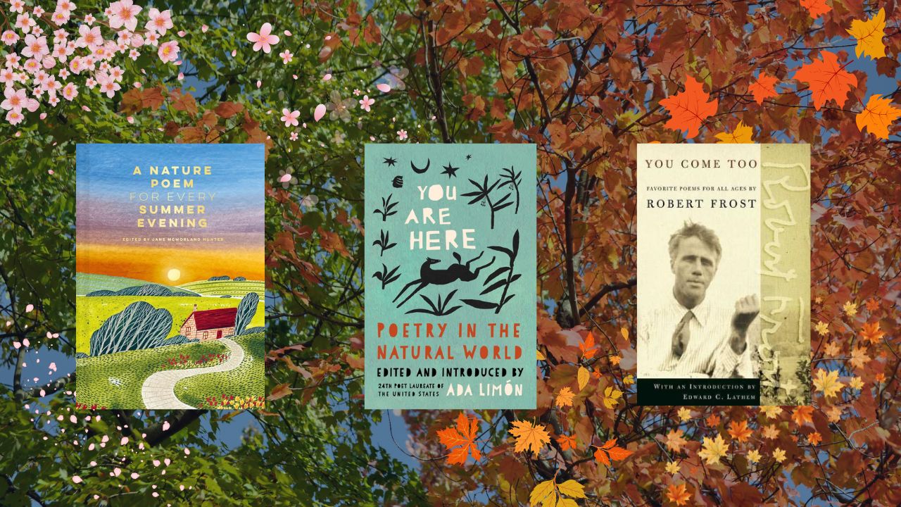 Gorgeous, Seasonal Poetry for a Wonderful Fall Transition